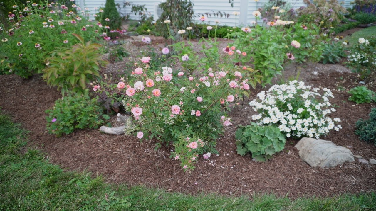 Making Beautiful Progress: Tour of the Garden Beds Around My House ...