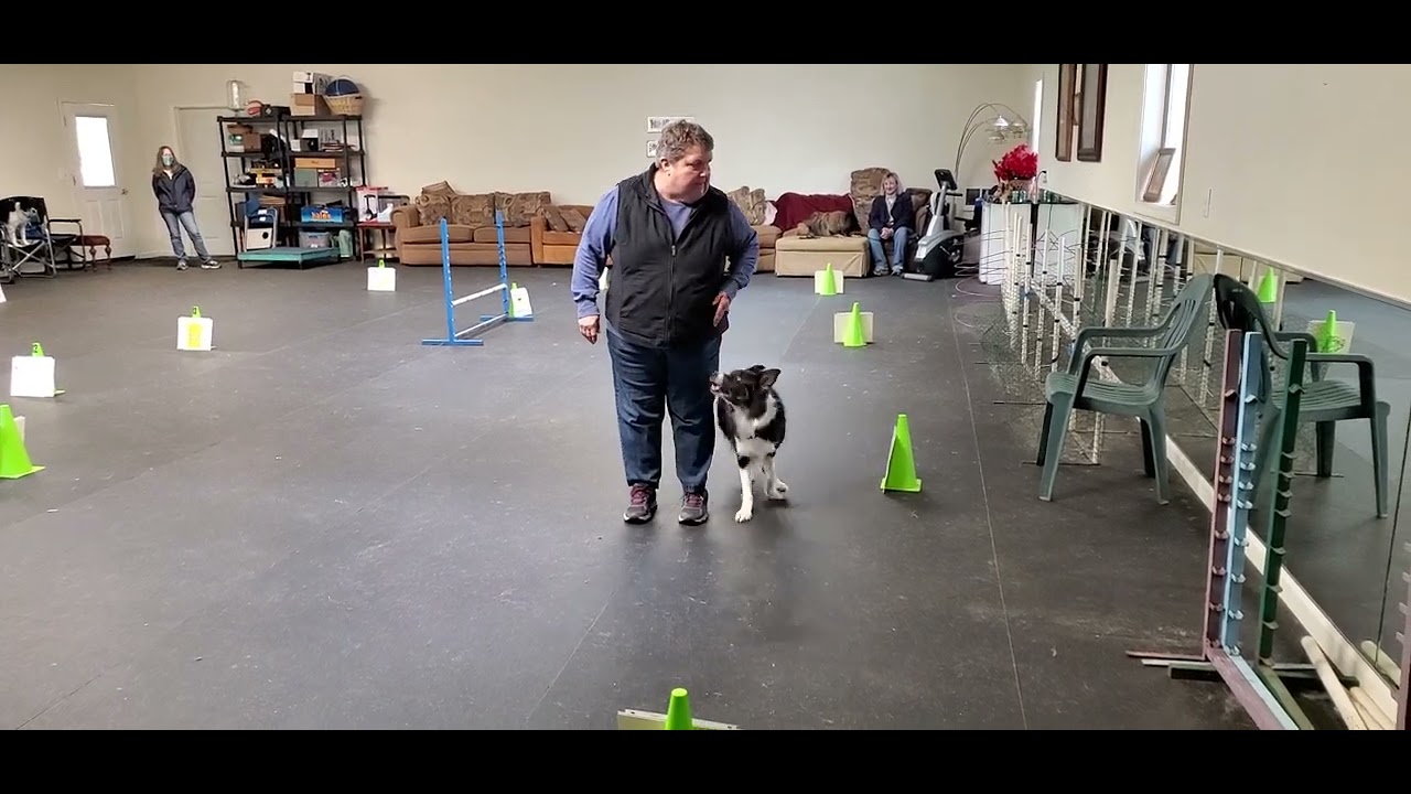 AKC RALLY ADVANCED #5 - YouTube