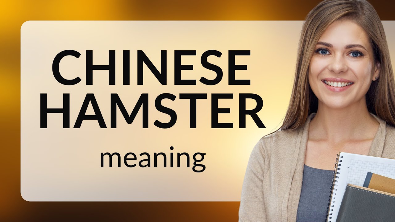 Understanding "Chinese Hamster": A Guide for English Learners - YouTube