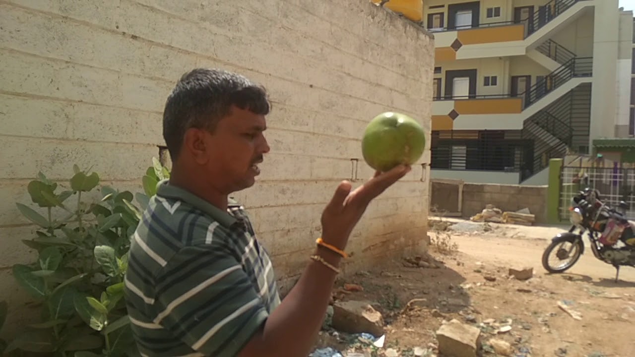 (316) Borewell water point TOUGH AREA CILICON CITY Tender coconut ...