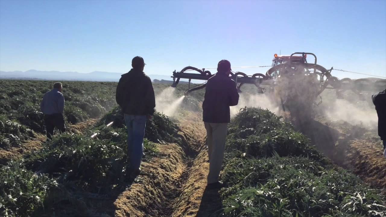 Gearmore Venturi Sprayer - YouTube