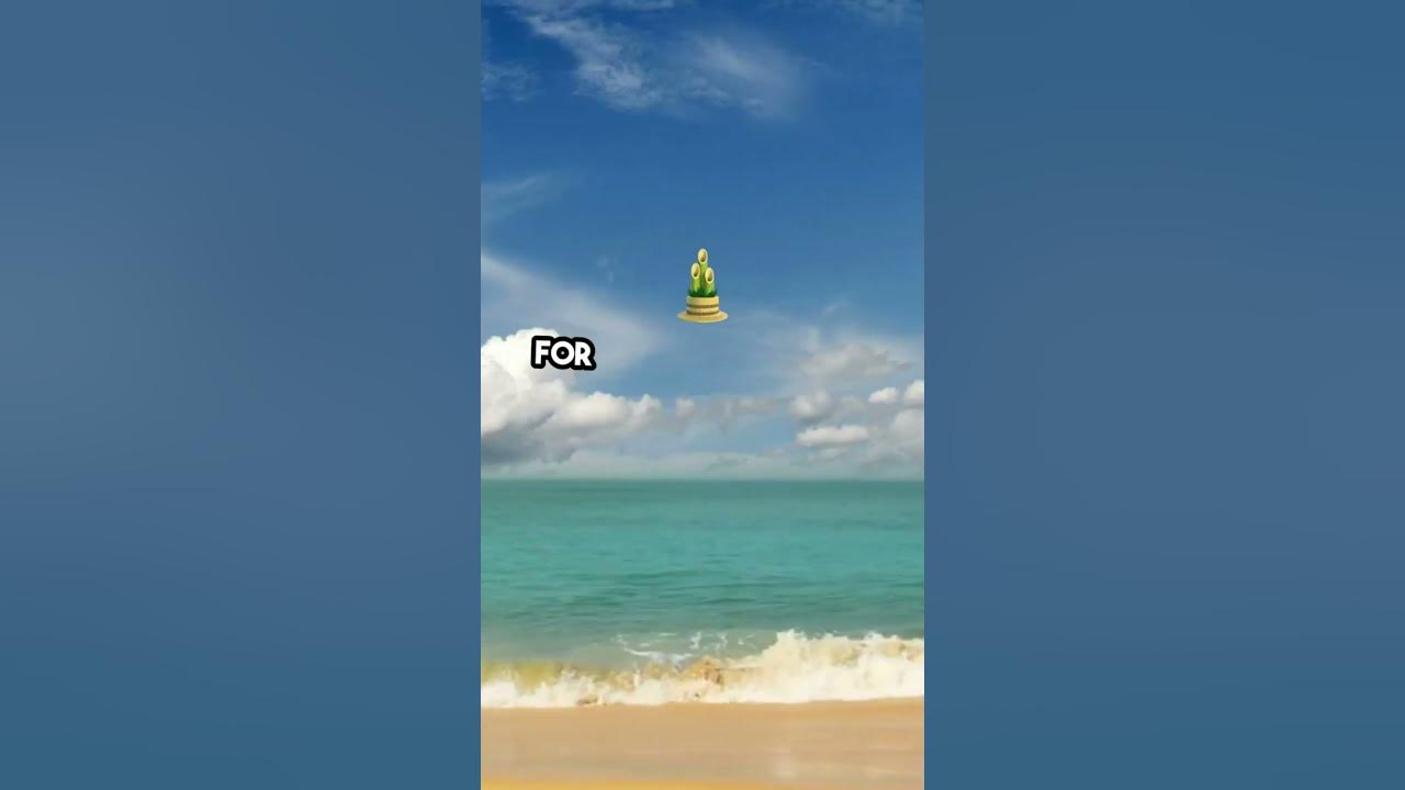 One Man's Journey: Forest Transformation - YouTube