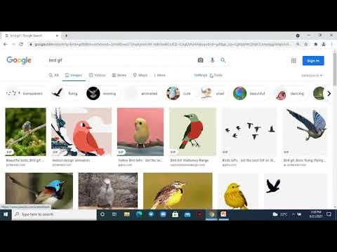 How to create " flying bird " animation effect in PowerPoint 2021 ...