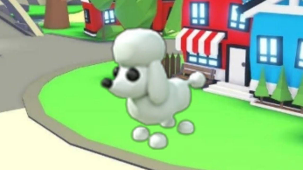 I made a neon poodle!! - YouTube