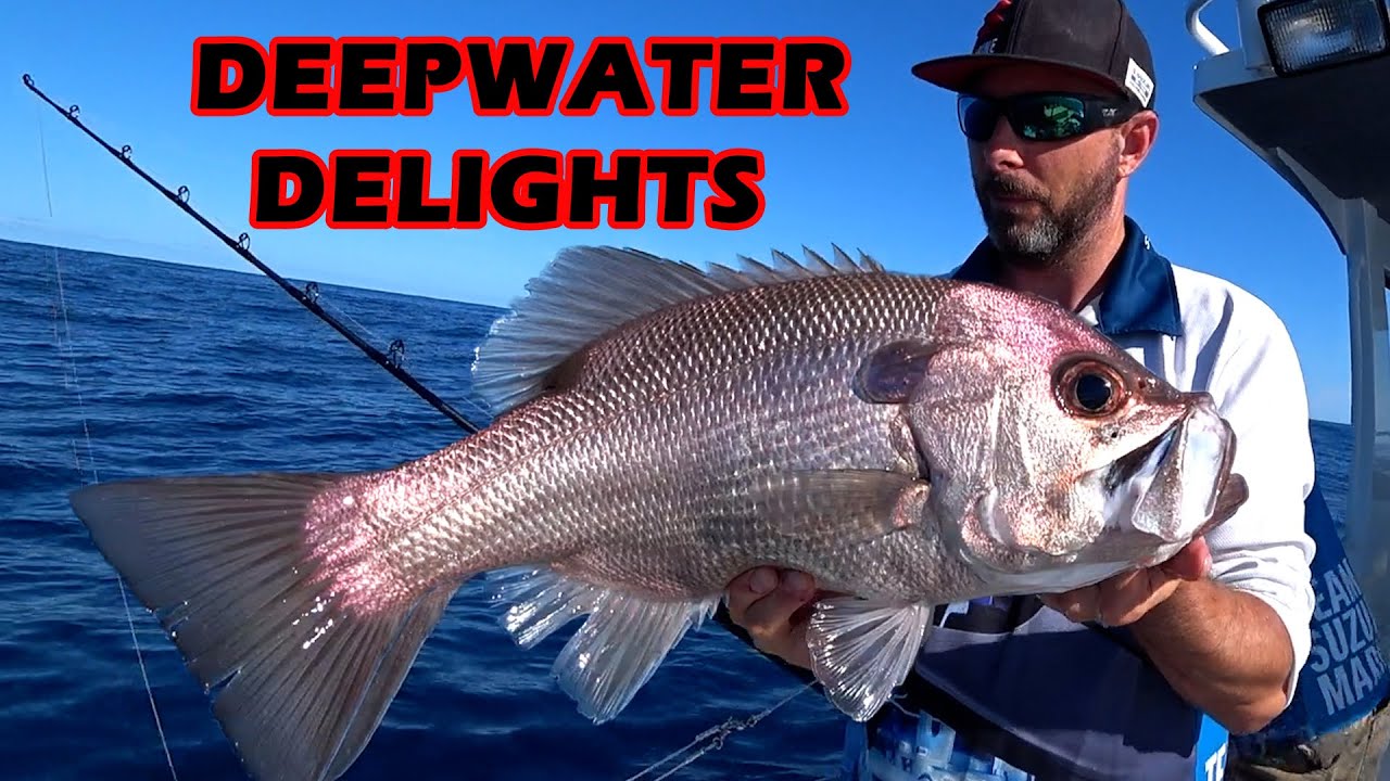 JIGGING & BAIT FISHING DEEPWATER | PEARL PERCH, SNAPPER & BAR COD OFF ...