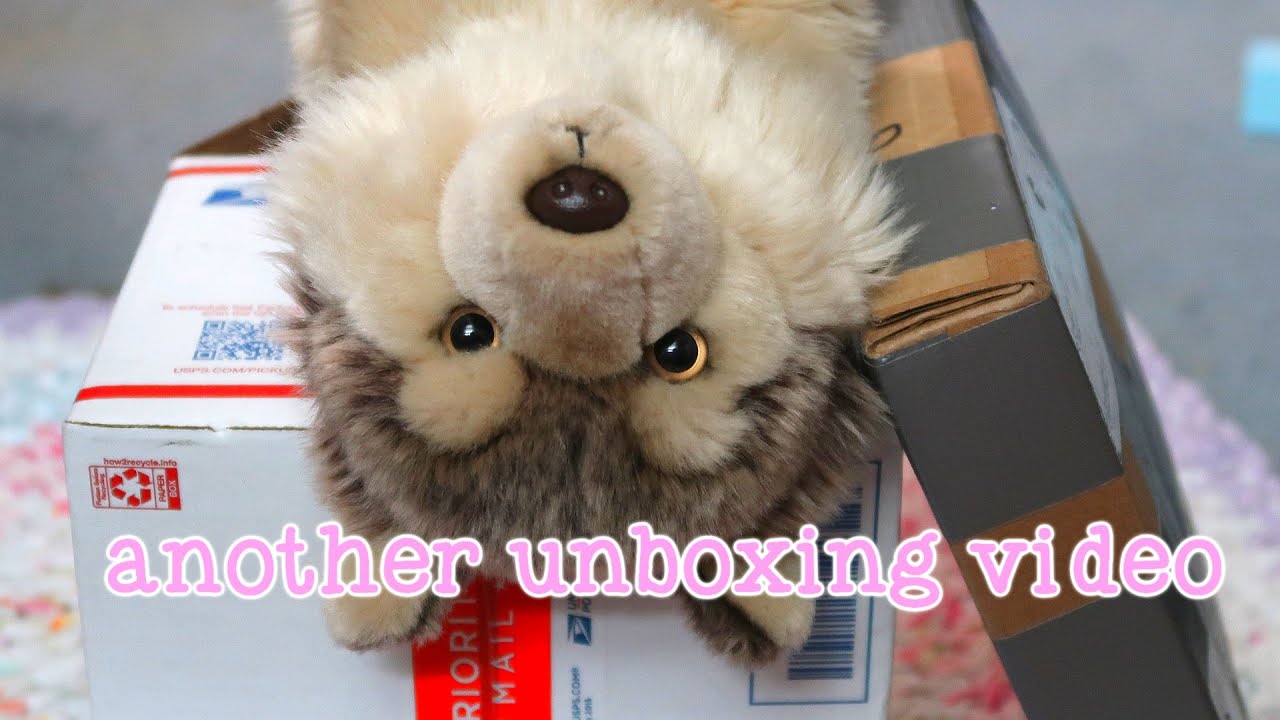 Two New Webkinz in the Mail - YouTube