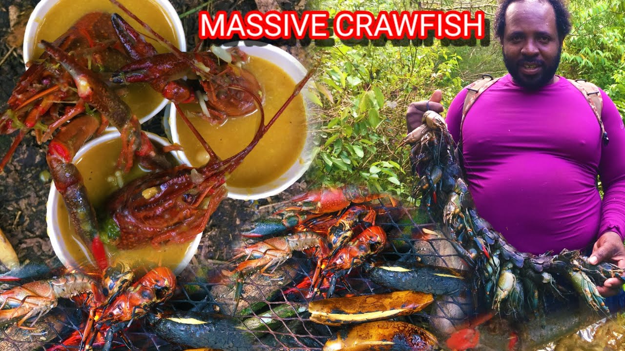 MASSIVE CRAWFISH CATCH FOR SOUP,,..EPIC CATCH & COOK - YouTube