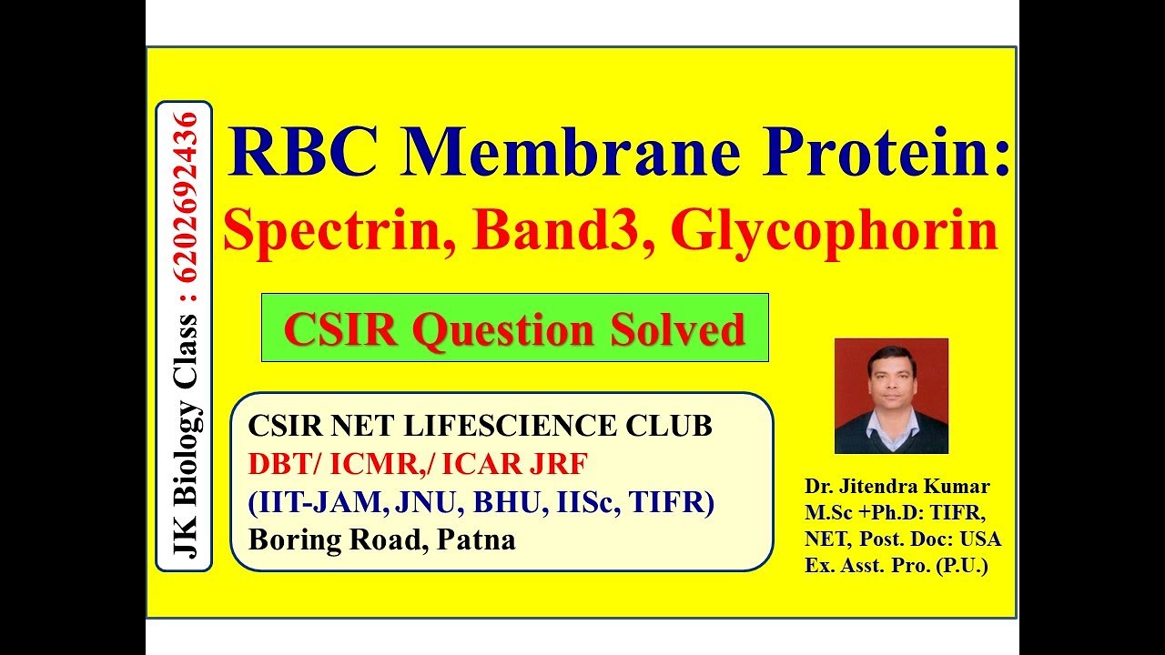 RBC Membrane Protein: Spectrin, Band3, Glycophorin #CSIRNET #GATE #ICMR ...