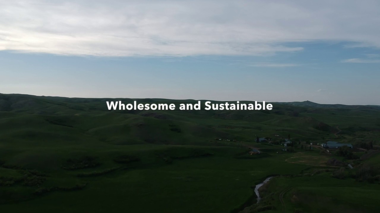 Montana Ranch Raised & Finished Grassfed Beef - KM Ranch Montana - YouTube