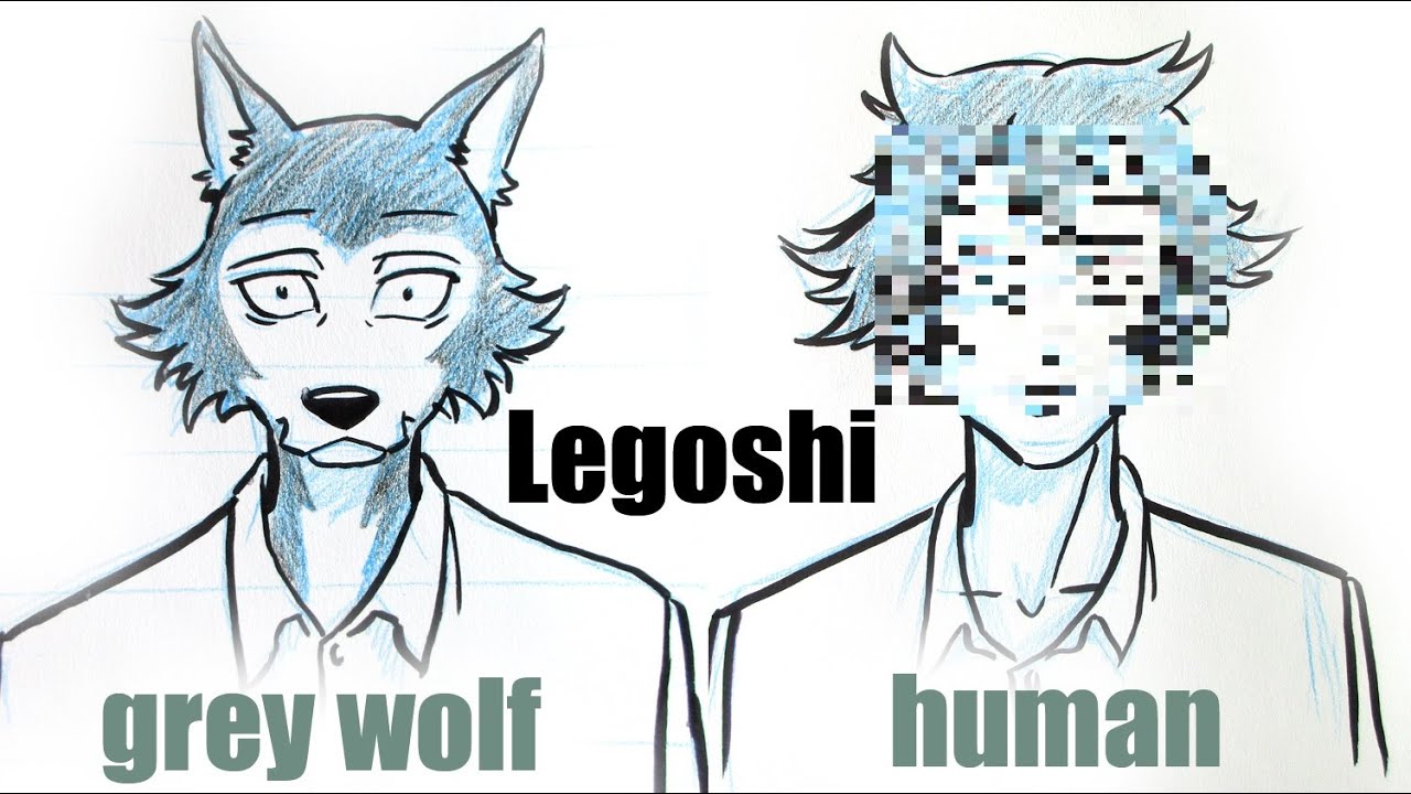 LEGOSHI - HUMANIZING BEASTARS CHARACTERS - YouTube
