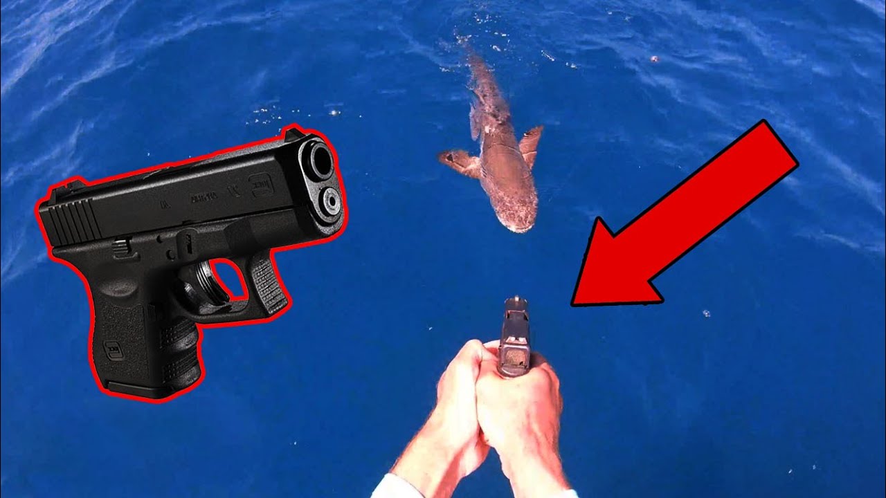 Good thing we had a gun! - Dinner Fishing - YouTube