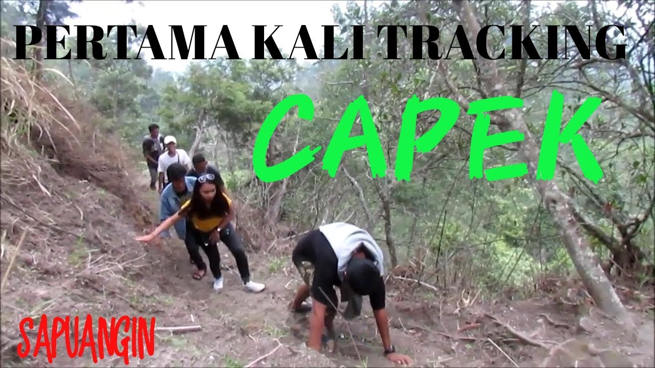 VLOG #5 ||JALAN-JALAN KE JALUR PENDAKIAN GUNUNG MERAPI VIA SAPUANGIN ...
