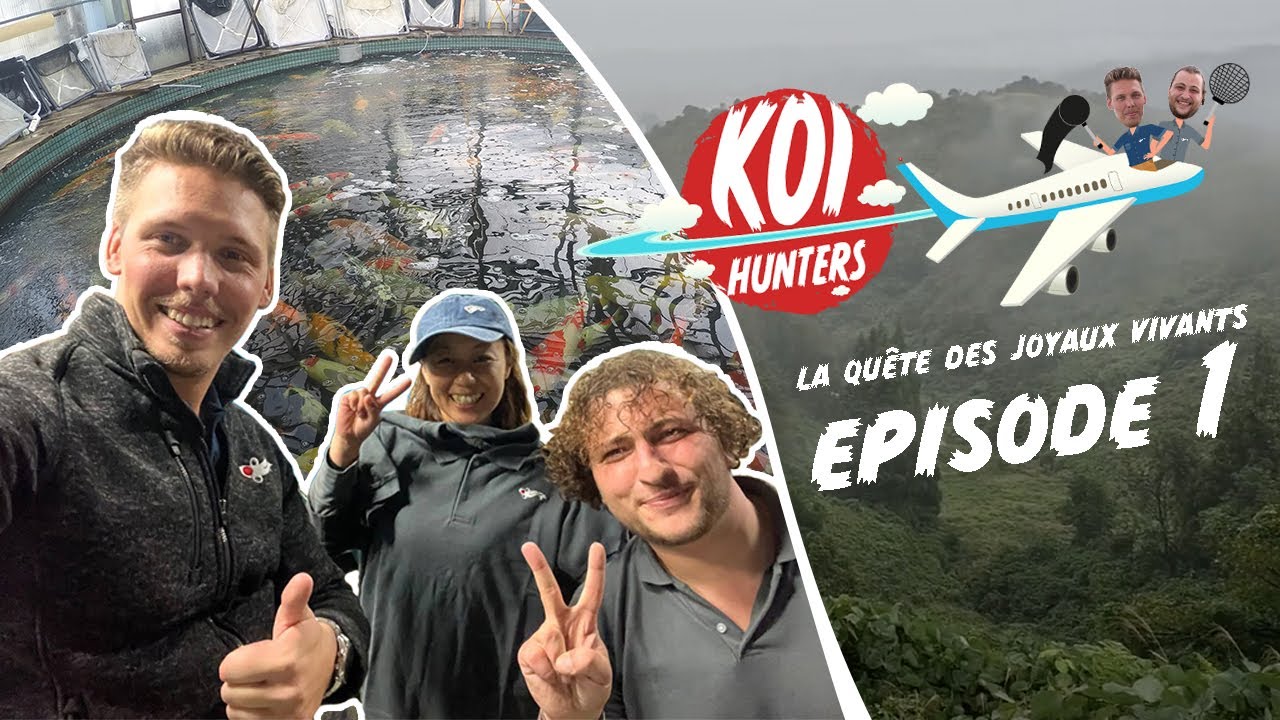 Koi Hunters - La quête des joyaux vivants - Episode 1 - YouTube