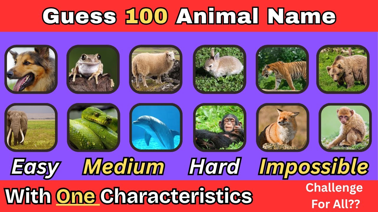 Guess the Animal Name | With One Characteristics | Four Levels | Animal ...