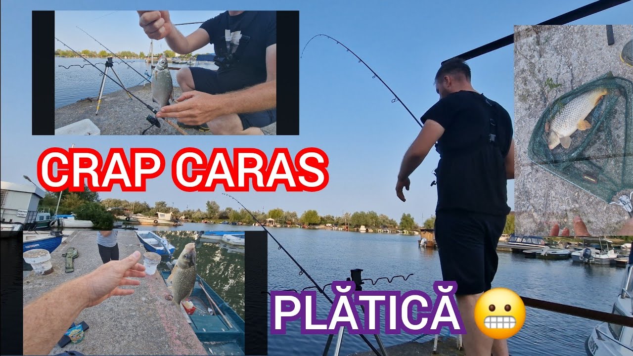 CARAS SI CRAP IN DELTA DUNARII 2025 METHOD FEEDER NADA FAINA DE PESTE ...