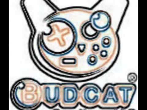 Budcat sensation - YouTube