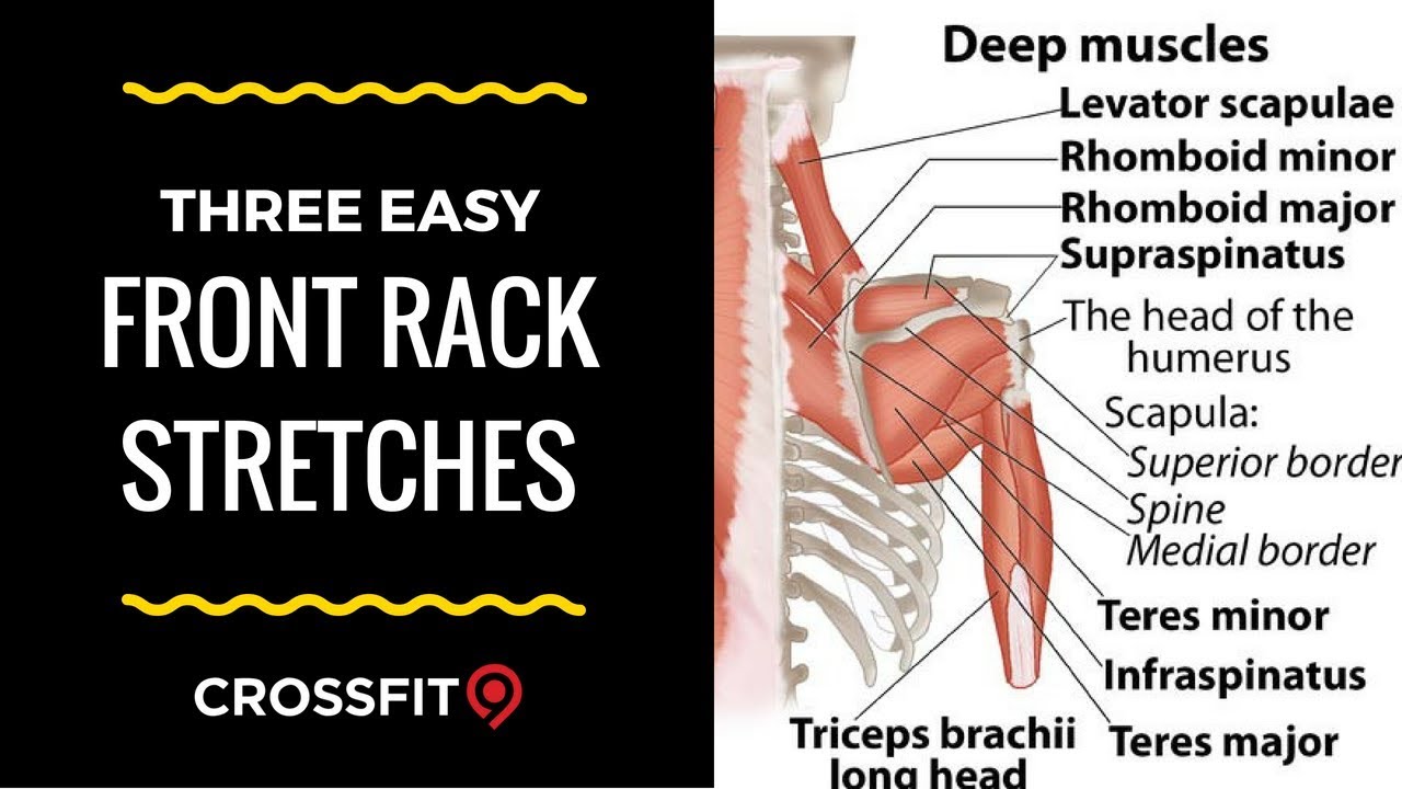 Three Easy Front Rack Stretches - YouTube