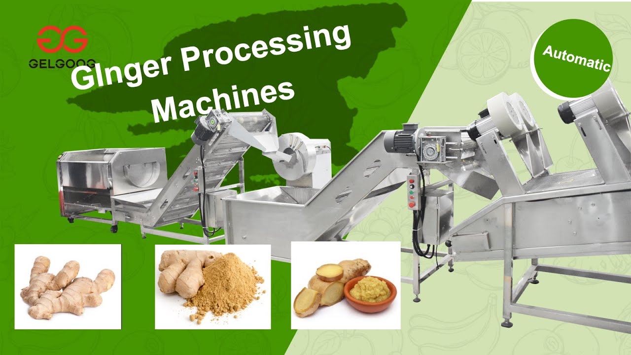 Automatic Ginger Powder Production Plant With 300Kg/h - YouTube