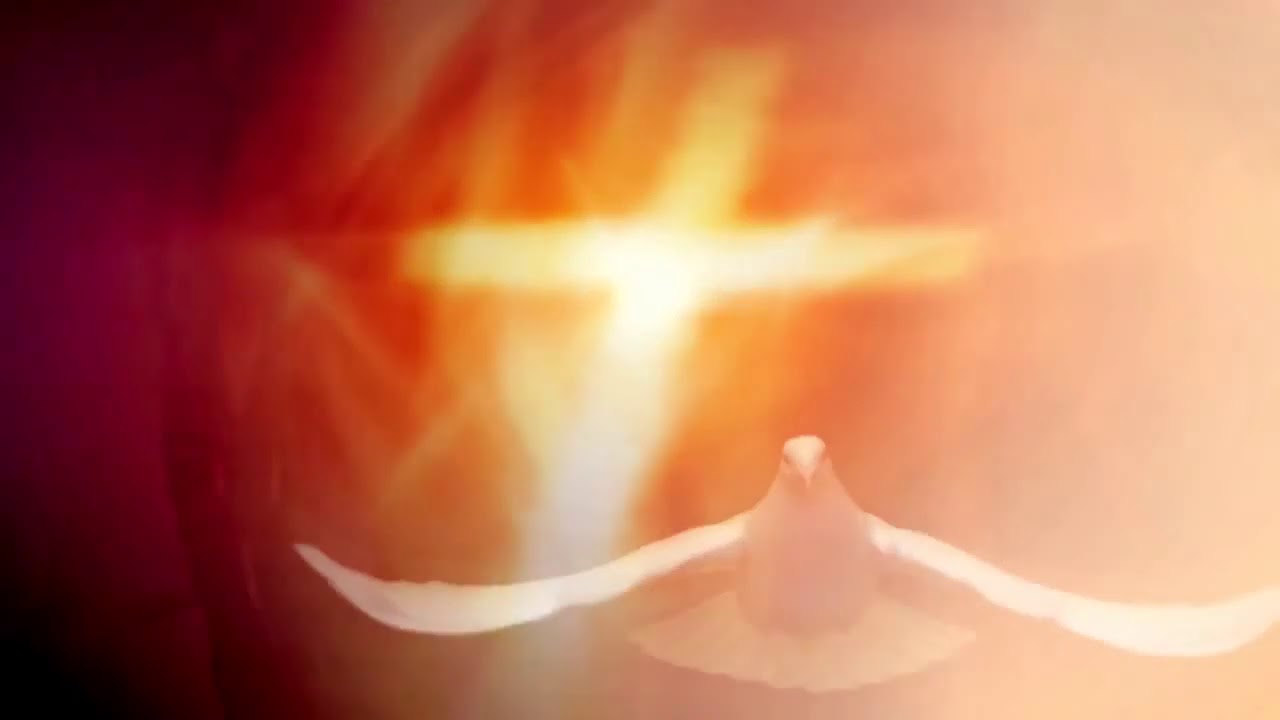 Holy Spirit In A Form Of Dove Easy Worship Background Video Loop Holy Spirit In A Form Of Dove Easy Worship Background Video Loop