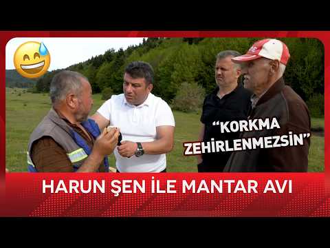 Harun Şen İle Mantar Avı