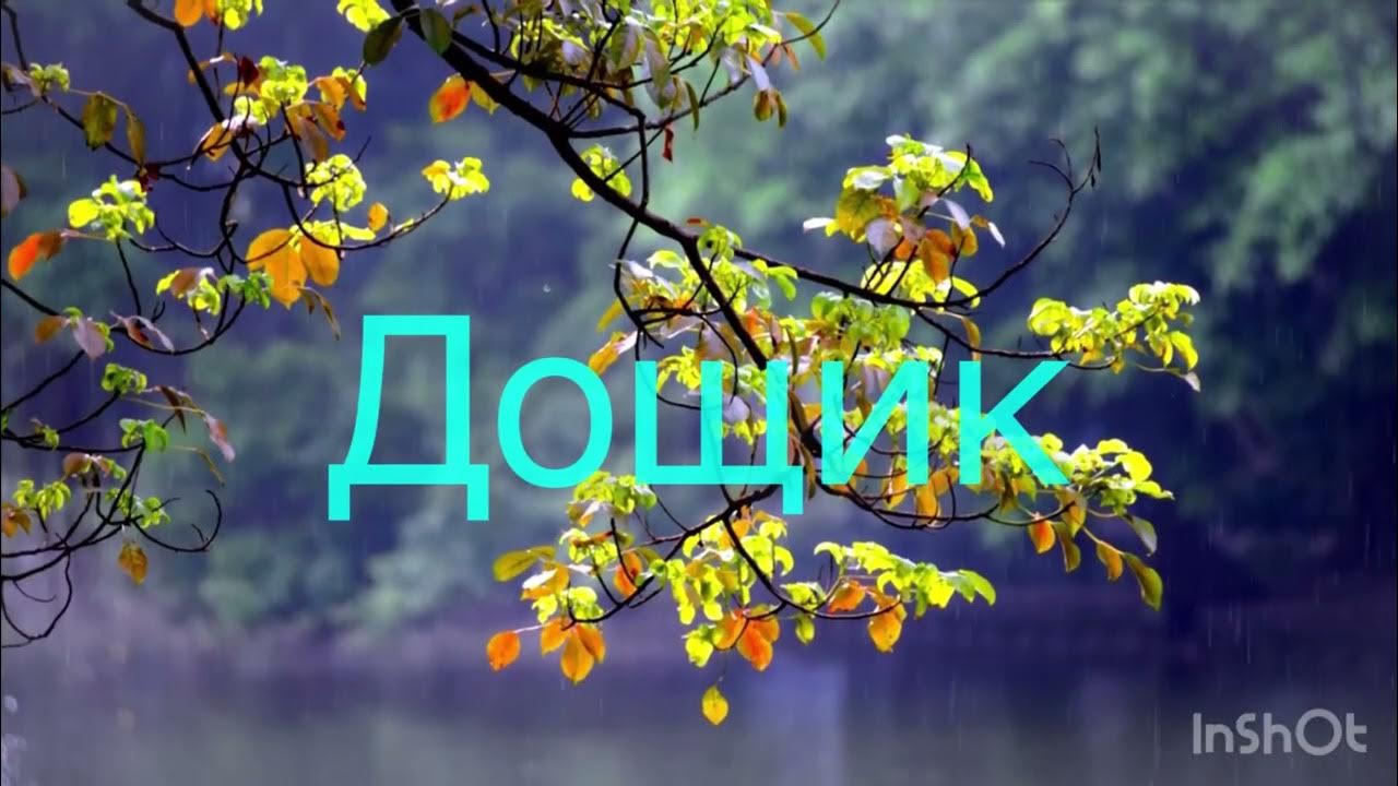 Логоритміка. Гра для розвитку слухової уваги. “Дощик і листя» «Світанок ...