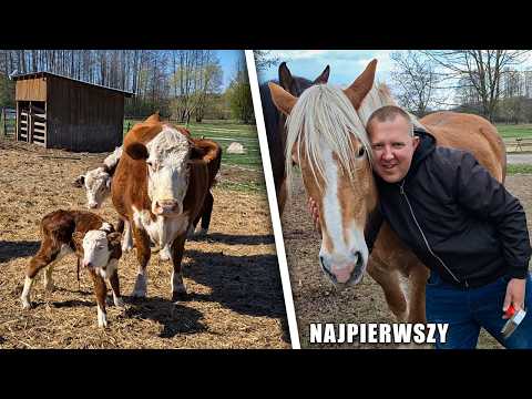 Najpierwszy 🥇🎉