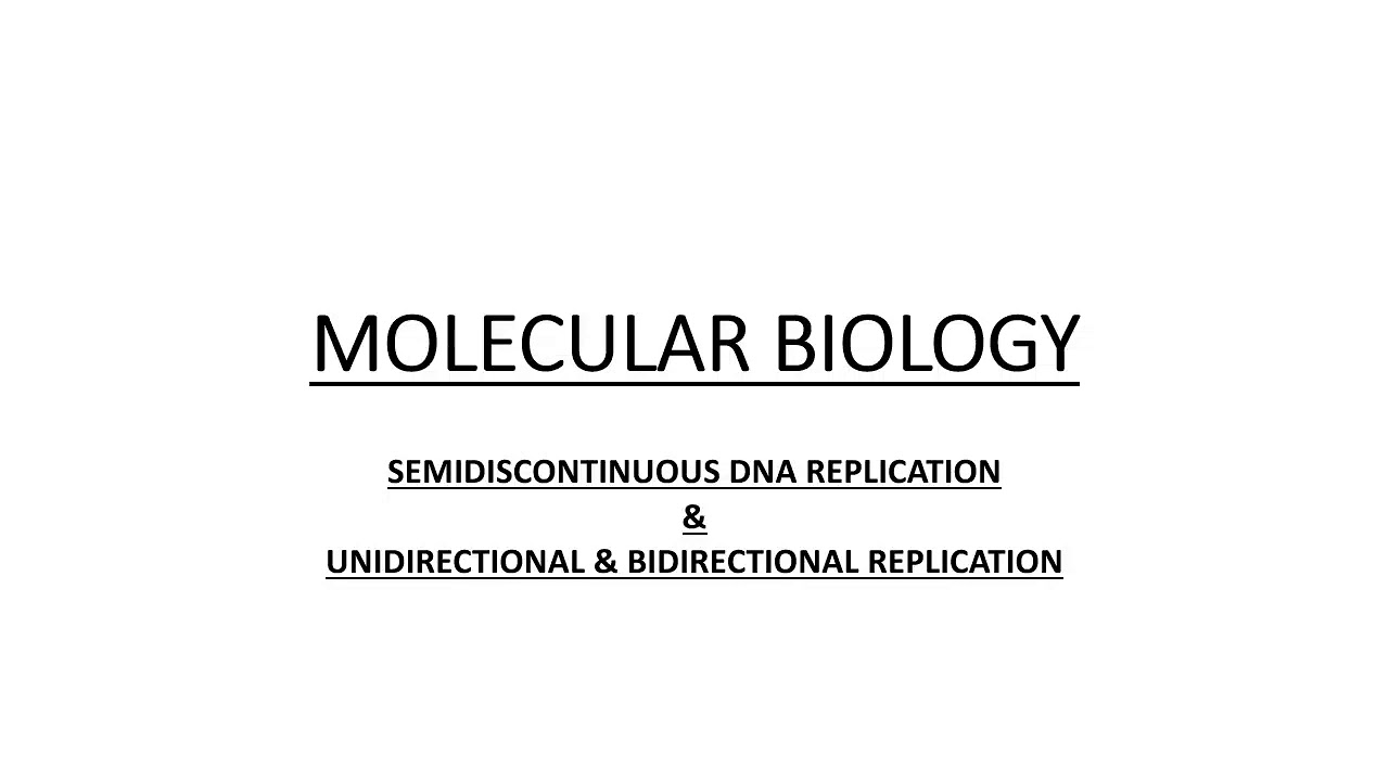 SEMIDISCONTINUOUS || UNIDIRECTIONAL || BIDIRECTIONAL DNA REPLICATION ...