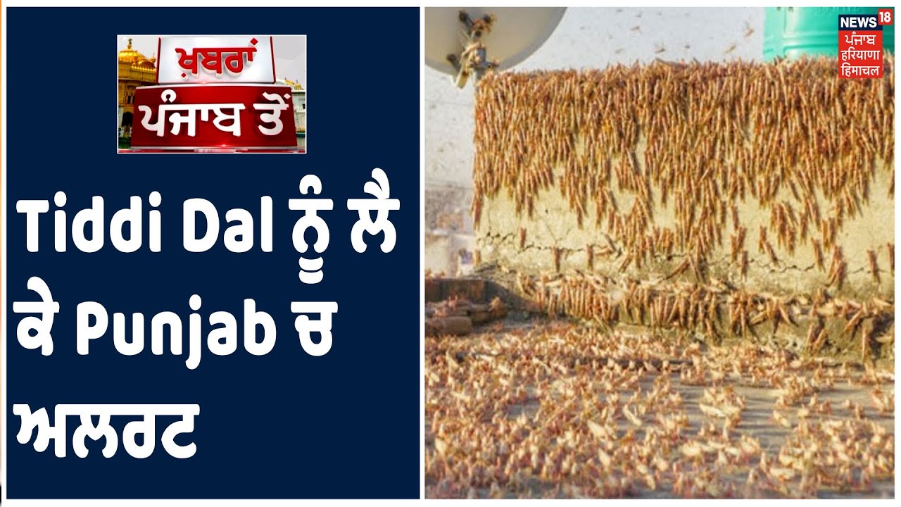 Tiddi Dal ਦਾ ਖ਼ਤਰਾ Punjab ਤੇ ਵੀ ਮੰਡਰਾਇਆ, ਟਿੱਡੀ ਦਲ ਦੇ ਹਮਲੇ ਨੂੰ ਲੈ ਕੇ ...