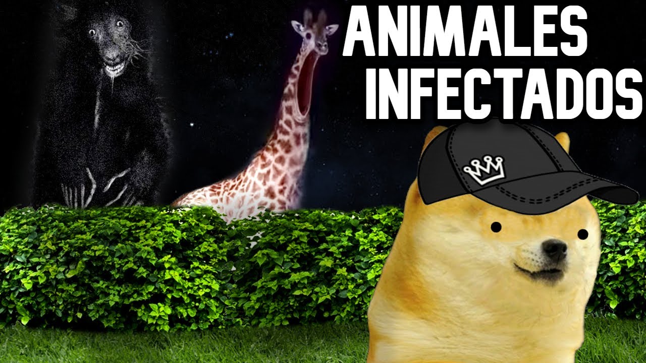 ALGO LE ESTA PASANDO A LOS ANIMALES, UN VIRUS LOS ENFERMA (Unnatural ...