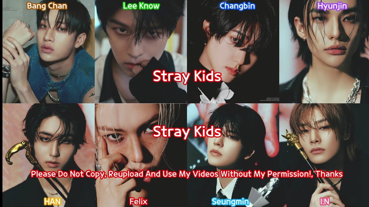 Stray Kids "Stray Kids" [Color Coded Lyrics] - YouTube