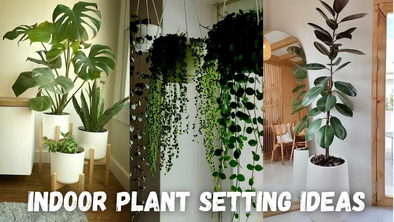 50 Top Best Enchanting Indoor Planting decoration Ideas - YouTube