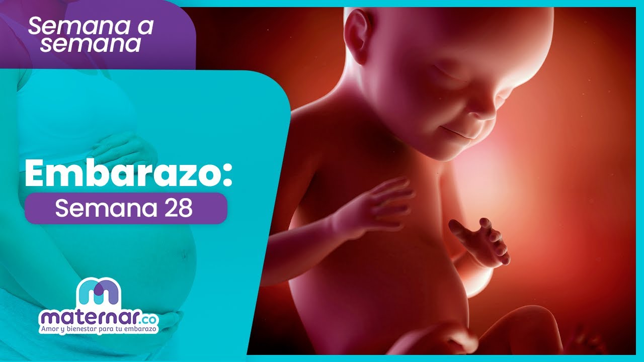 Semana 28 de embarazo: ¿Por qué sientes tanto calor y cómo aliviarlo ...