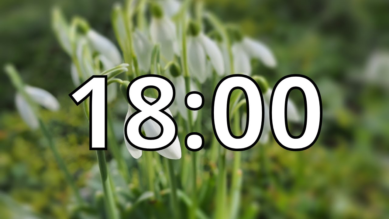18 Minutes Timer with Music | Spring Timer - YouTube