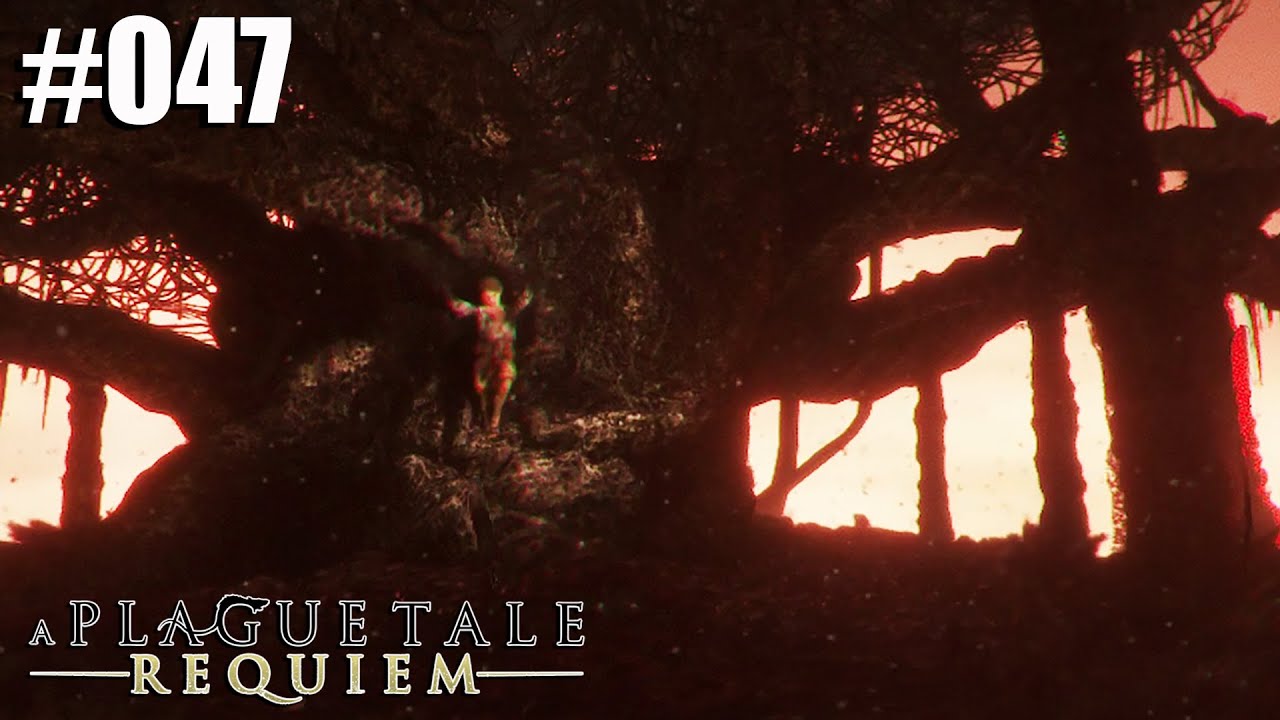 Eins mit der Prima Macula - A Plague Tale Requiem #047 Let's Play ...