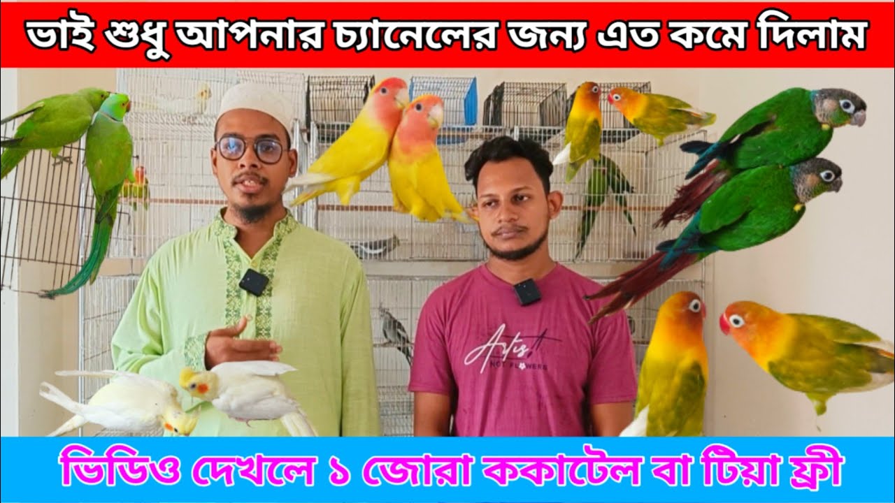 ভিডিও দেখলে ১ জোরা ককাটেল বা টিয়া ফ্রী | রাজিব ভাইয়ের ৩ দিনের ধামাকা অফার | Pets Vlog BD - YouTube