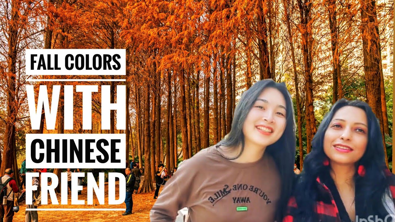 Most beautiful park in Shenzhen to watch Fall colors | Shenzhen China ...