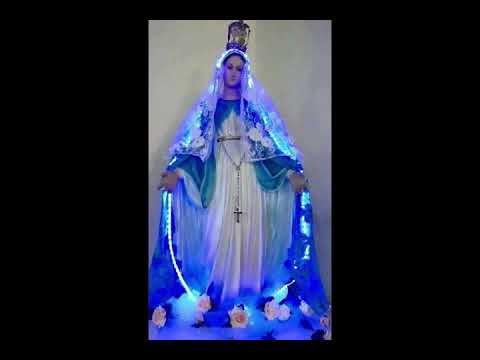 Ethiopian Orthodox sibket ስብከት በሊቃውንተ ቤተክርስትያን ኪዳነ ምህረት - YouTube