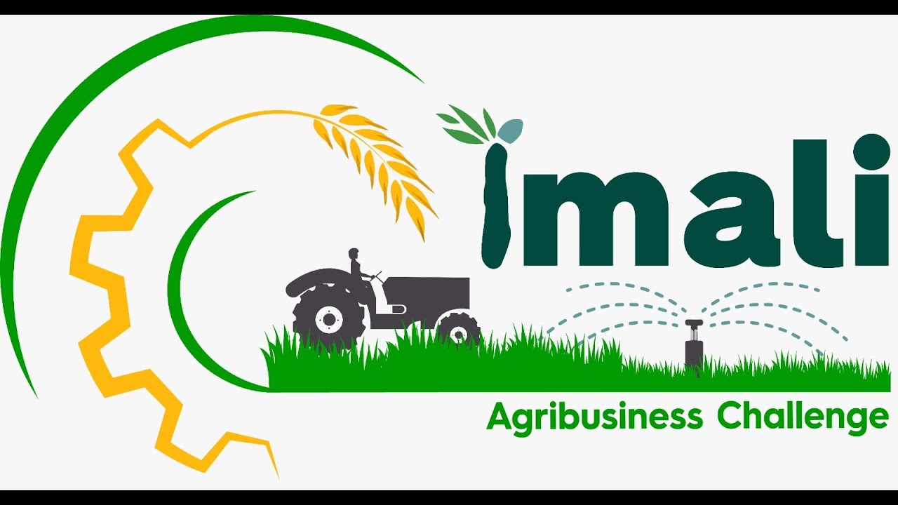 Imali AgriBusiness Challenge TV Spot | Kigali, 31 March 2023 - YouTube