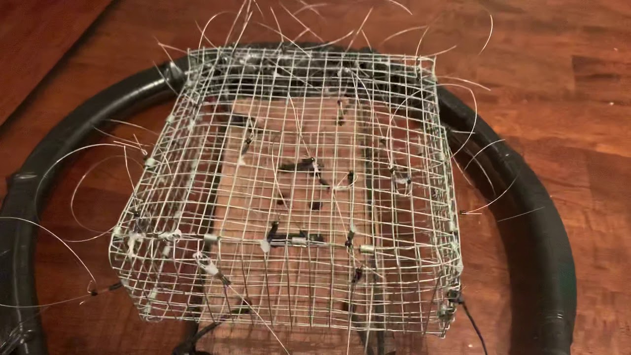 BC Falconry trap. - YouTube