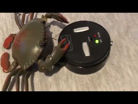 Problem with remote control crab 2 - YouTube