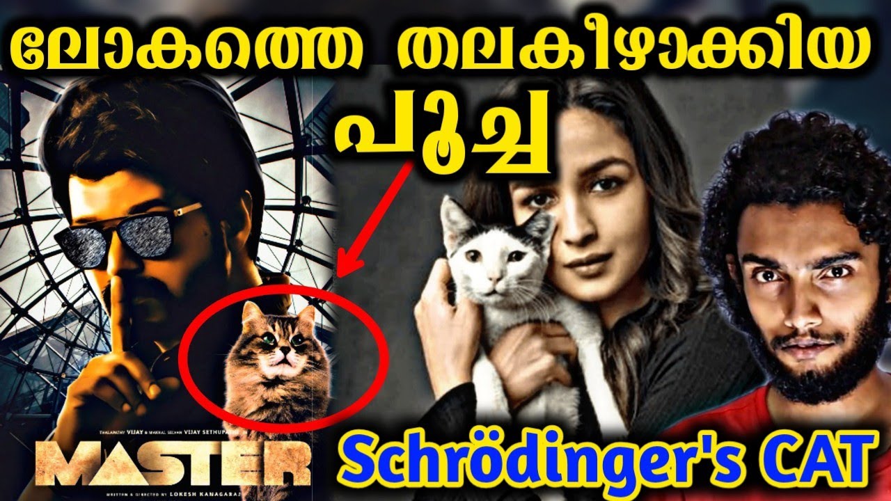 പ്രപഞ്ചം നിയന്ത്രിക്കുന്ന പൂച്ച | Schrödinger's Cat Experiment ...