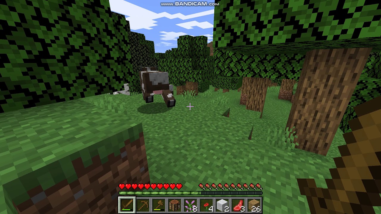 Выживания майнкрафт 1.15.2 - YouTube