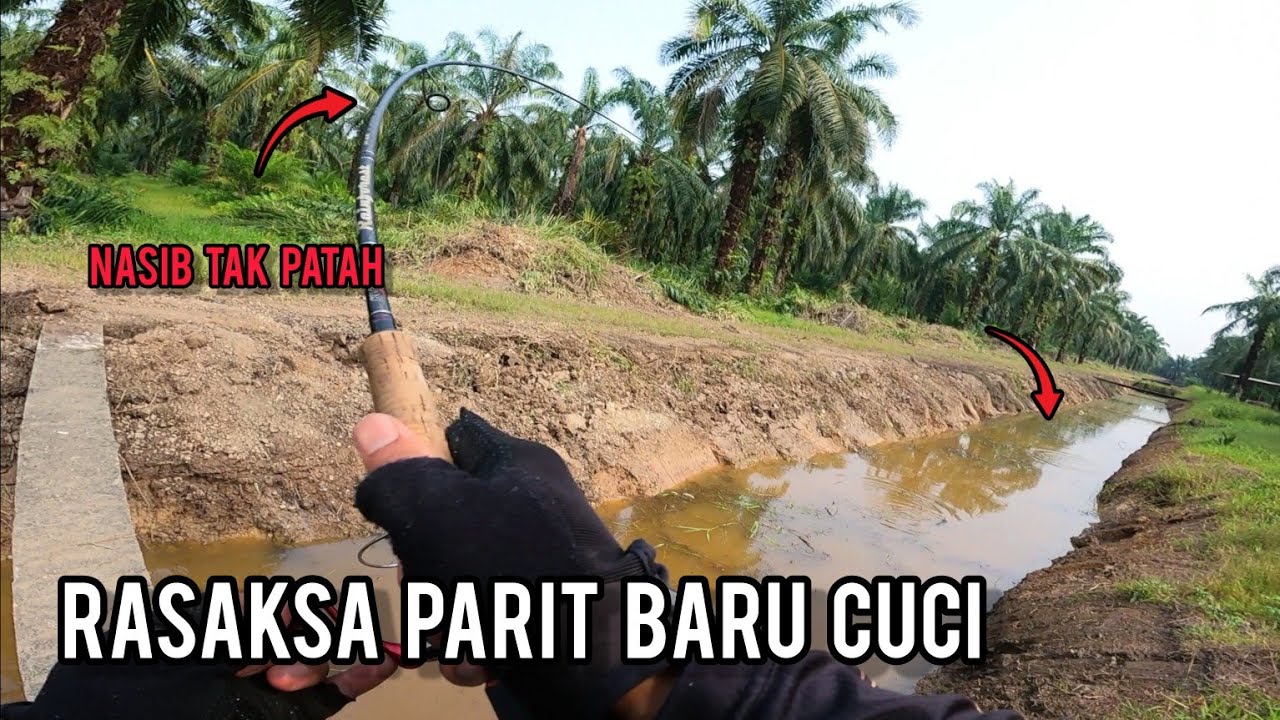 CASTING HARUAN | RASAKSA PARIT BARU CUCI SUDAH KELUAR | DAIWA REVROSE ...