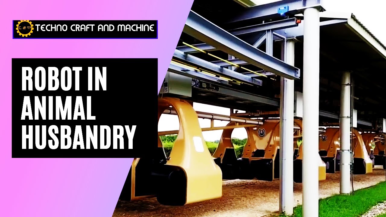 Robot in Animal Husbandry | Automated Animal Husbandry Machine - YouTube