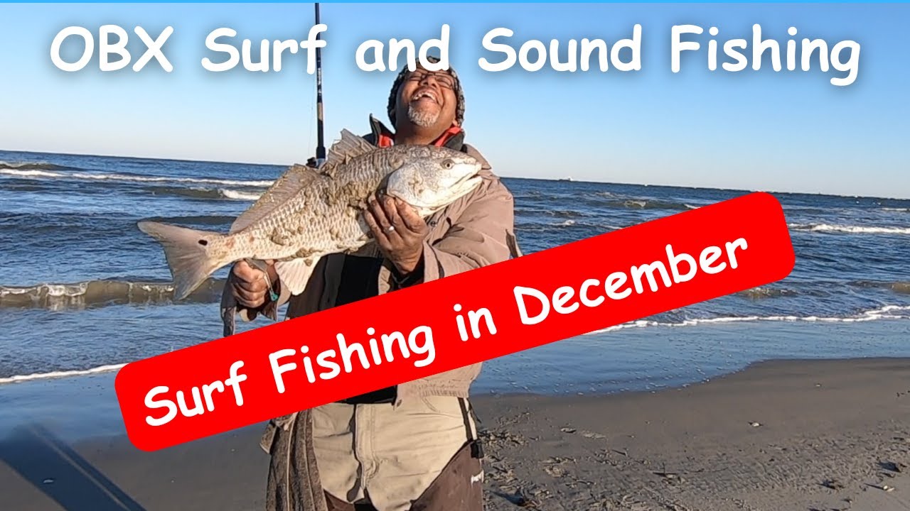 Surf Fishing in December Sea Mullet and Drum OBX Surf and Sound - YouTube