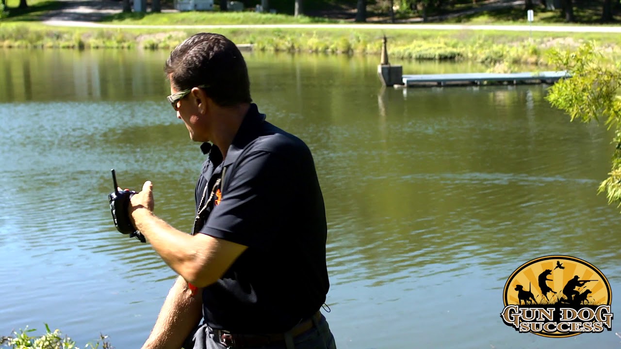 How to teach your dog to hunt out of a Boat- Retriever Training - YouTube