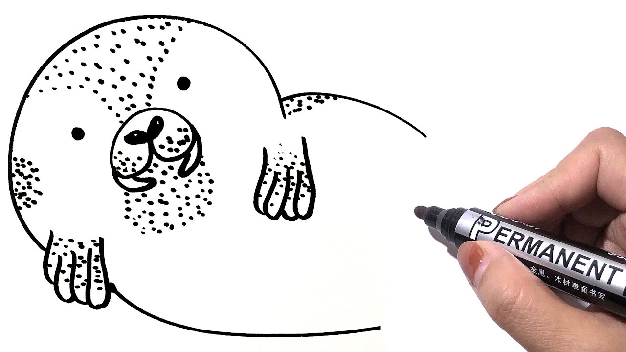 How to draw a cute seal | Easy tutorial | Step by step - YouTube