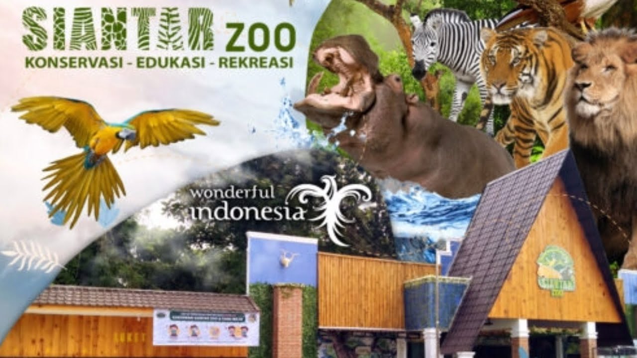 melihat koleksi hewan di siantar zoo - YouTube