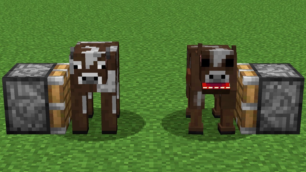 cow parasite + cow = ???? - YouTube