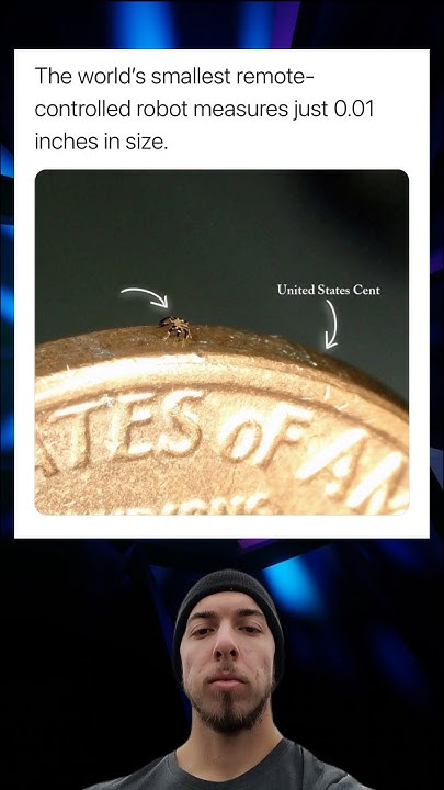 The world's smallest remote-controlled robot - YouTube